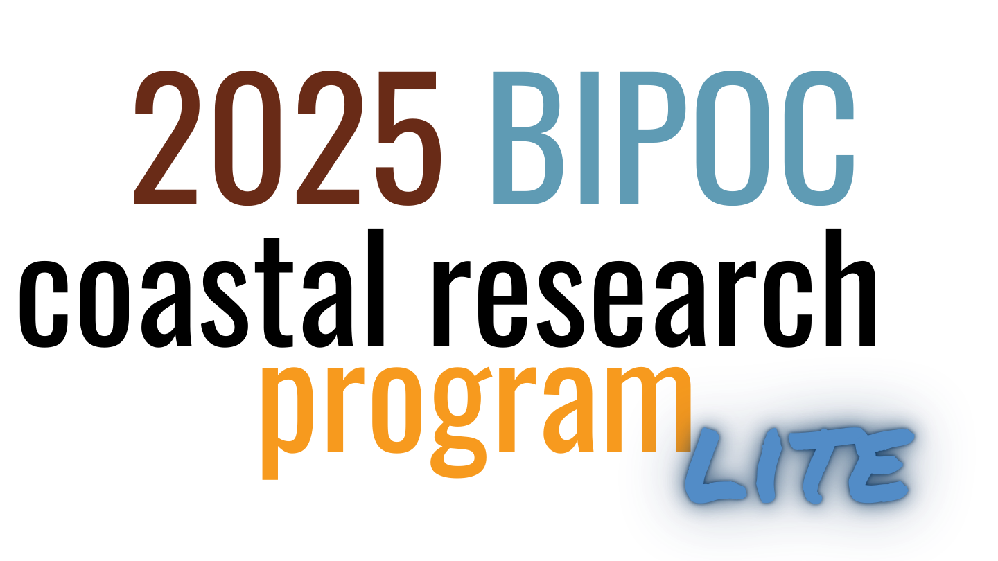 BIPOC Coastal Program - Black Tech Link
