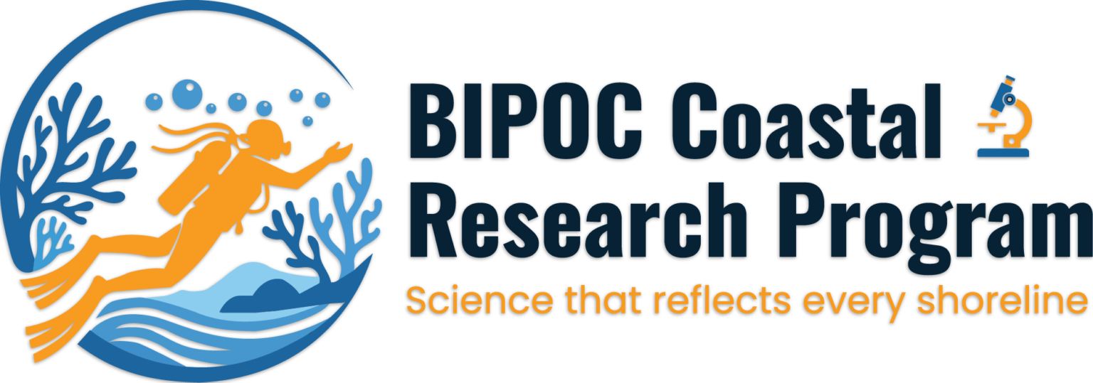 BIPOC Coastal Program - Black Tech Link