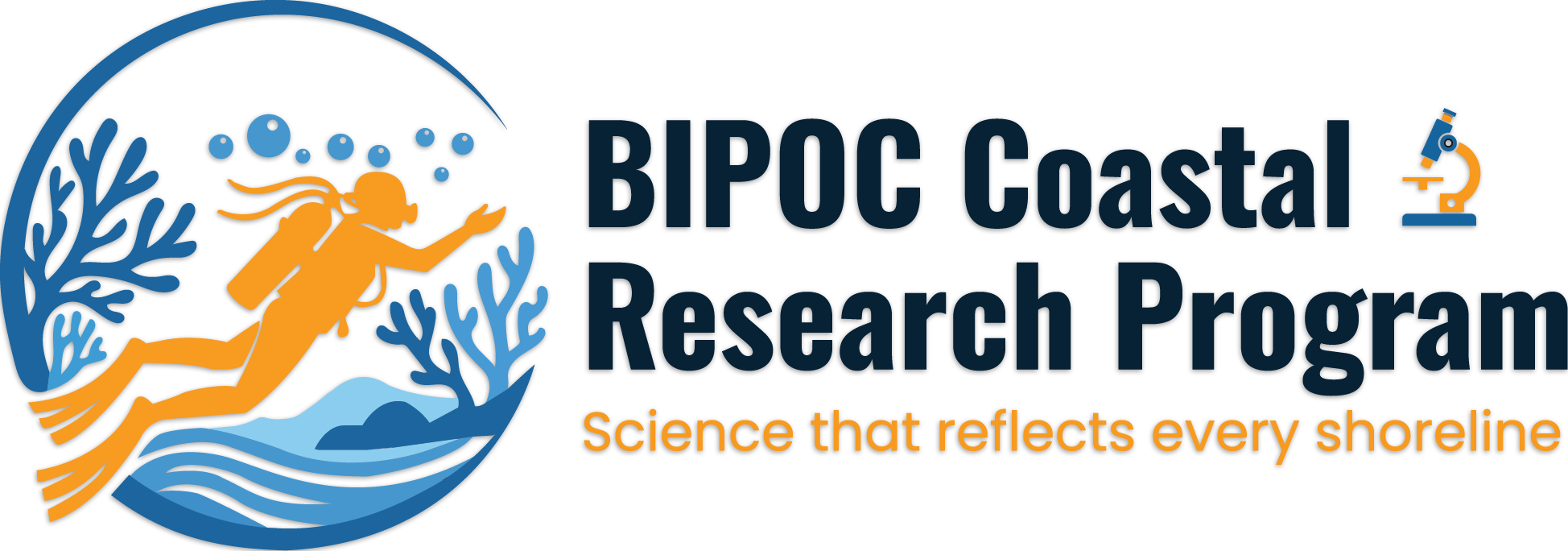 BIPOC Coastal Program - Black Tech Link